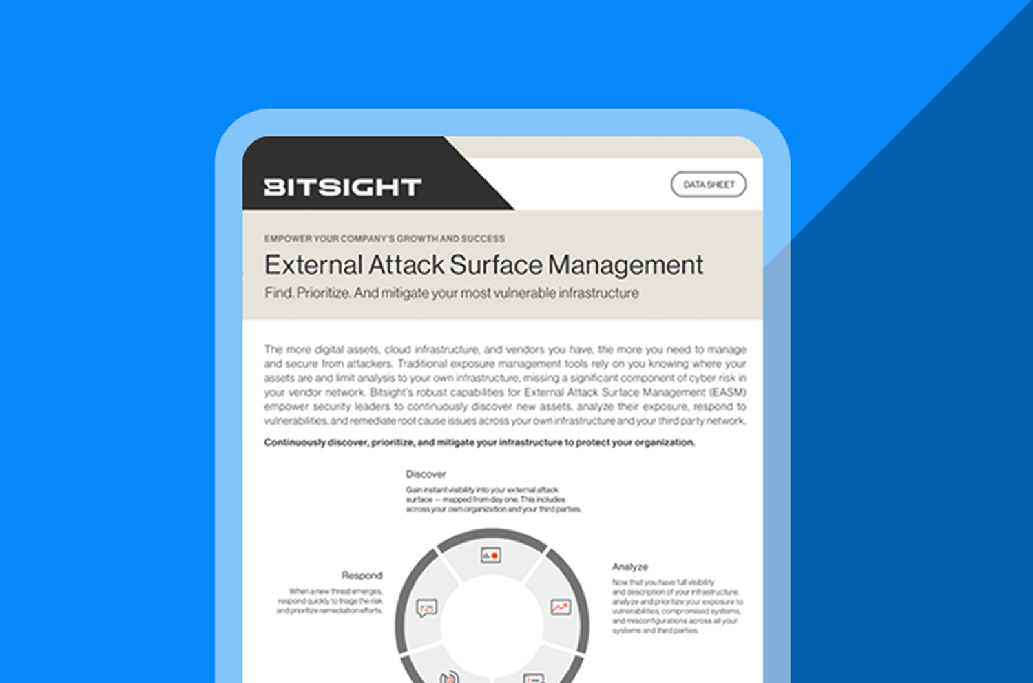 Bitsight External Attack Surface Management (Data Sheet)